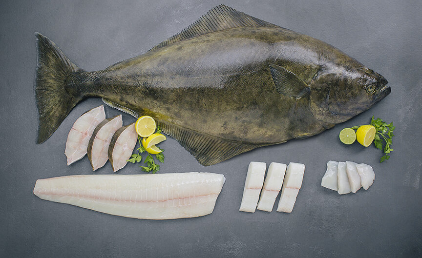 Halibut