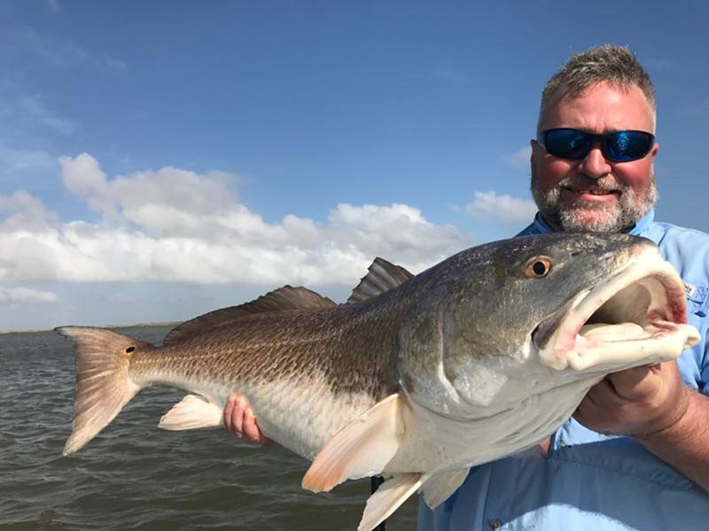 Red Drum