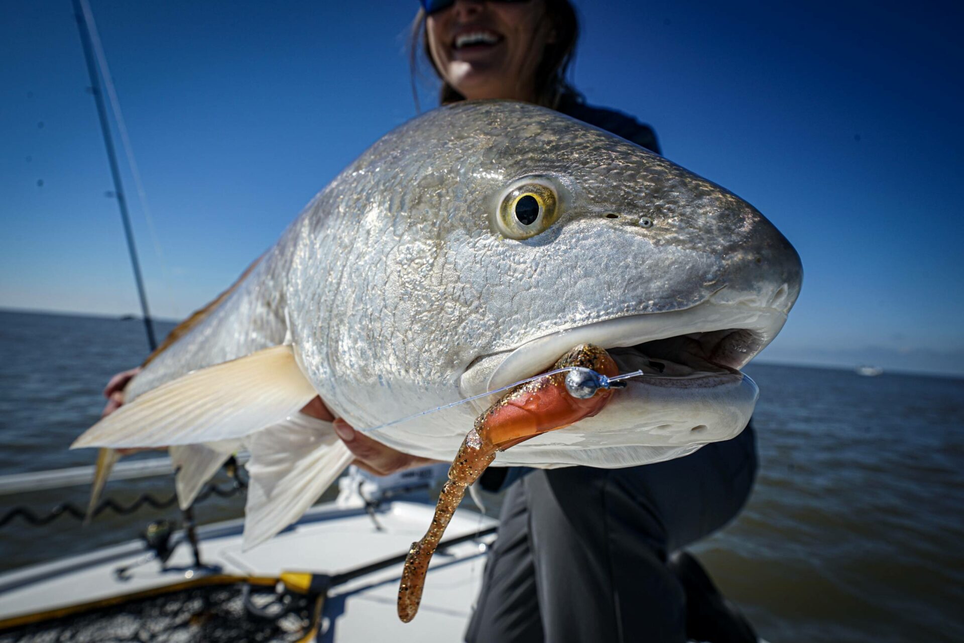 Red Drum