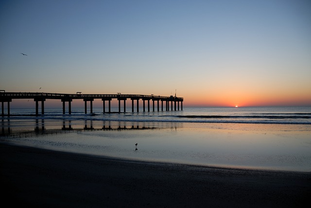 What Type Of Fish Eat The California Tiger Salamanders