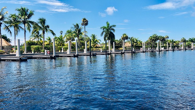 Where To Pick Up Florida Saltwater Fishing Regulations - FishOnTips